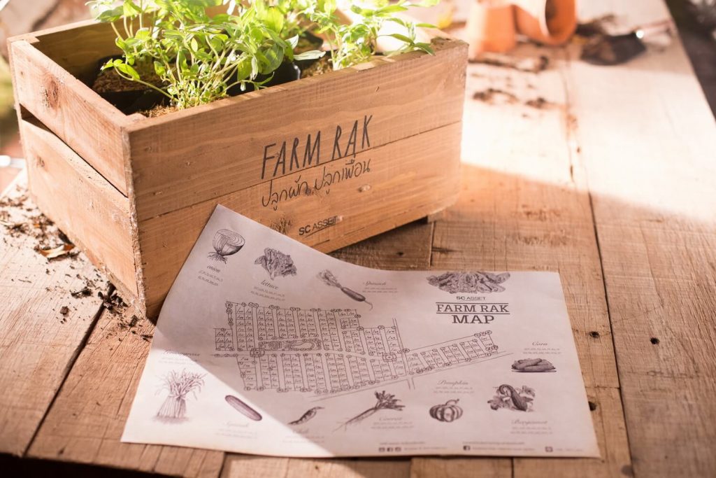 Farm Rak by SC Asset - amc asia!